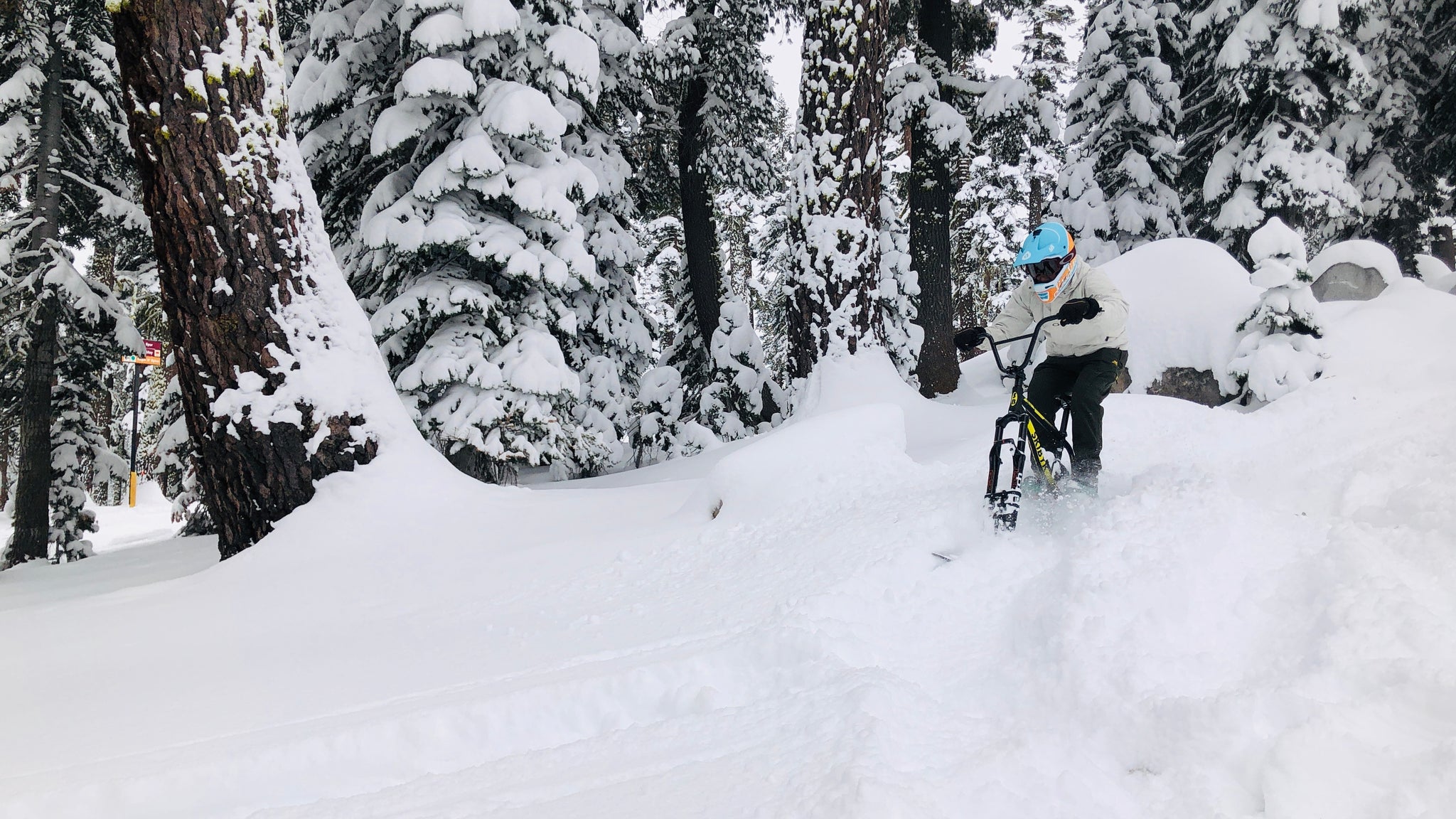 Blog – Colorado Ski Bikes